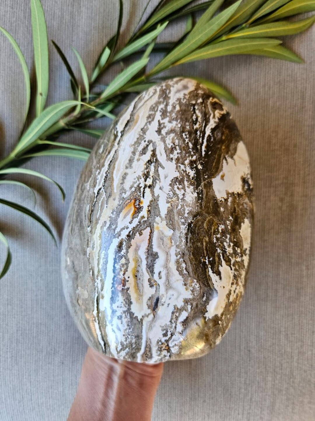 Large Sea Jasper Freeform / Polished Sea Jasper Cut Base - Etsy