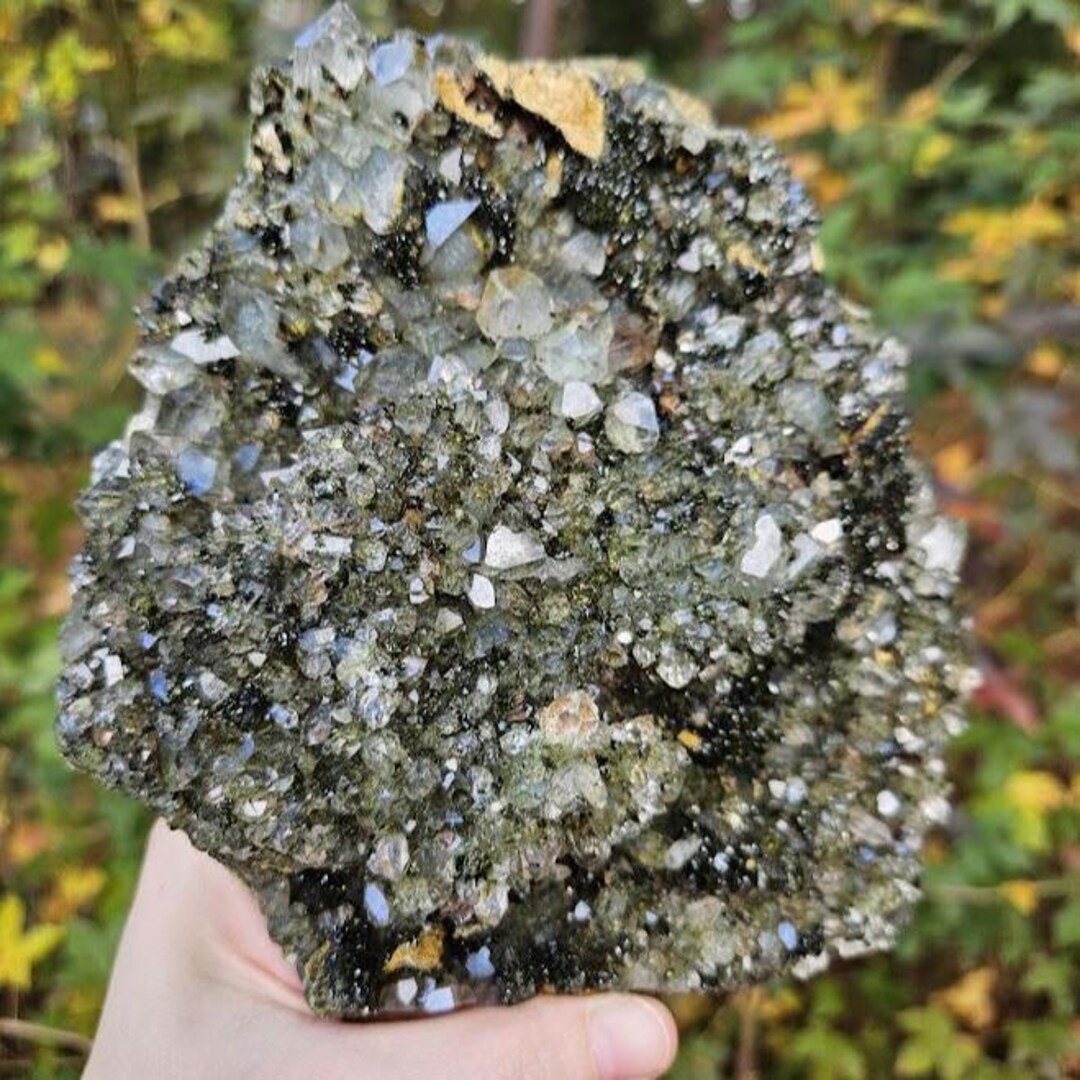 Quality Forest Quartz Cluster: Large Epidote and Quartz Crystal, Turkey ...