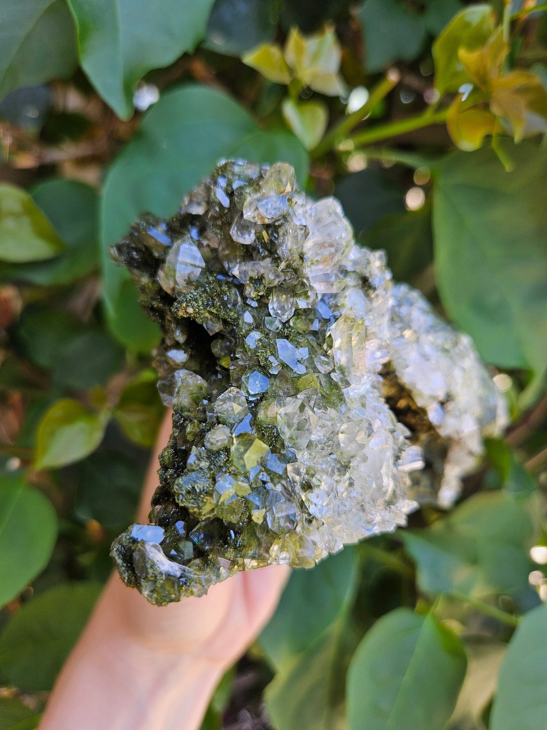 Rare Find! Large Forest Quartz Crystal / Raw Epidote and Clear Quartz ...