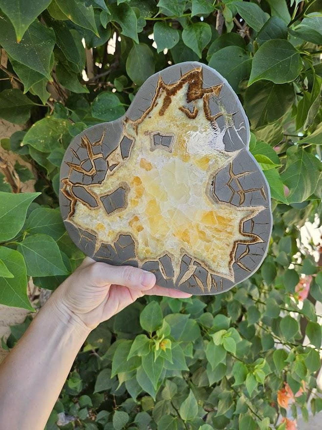 Quality Septarian Slab / Raw and Polished Septarian Crystal / Quality ...