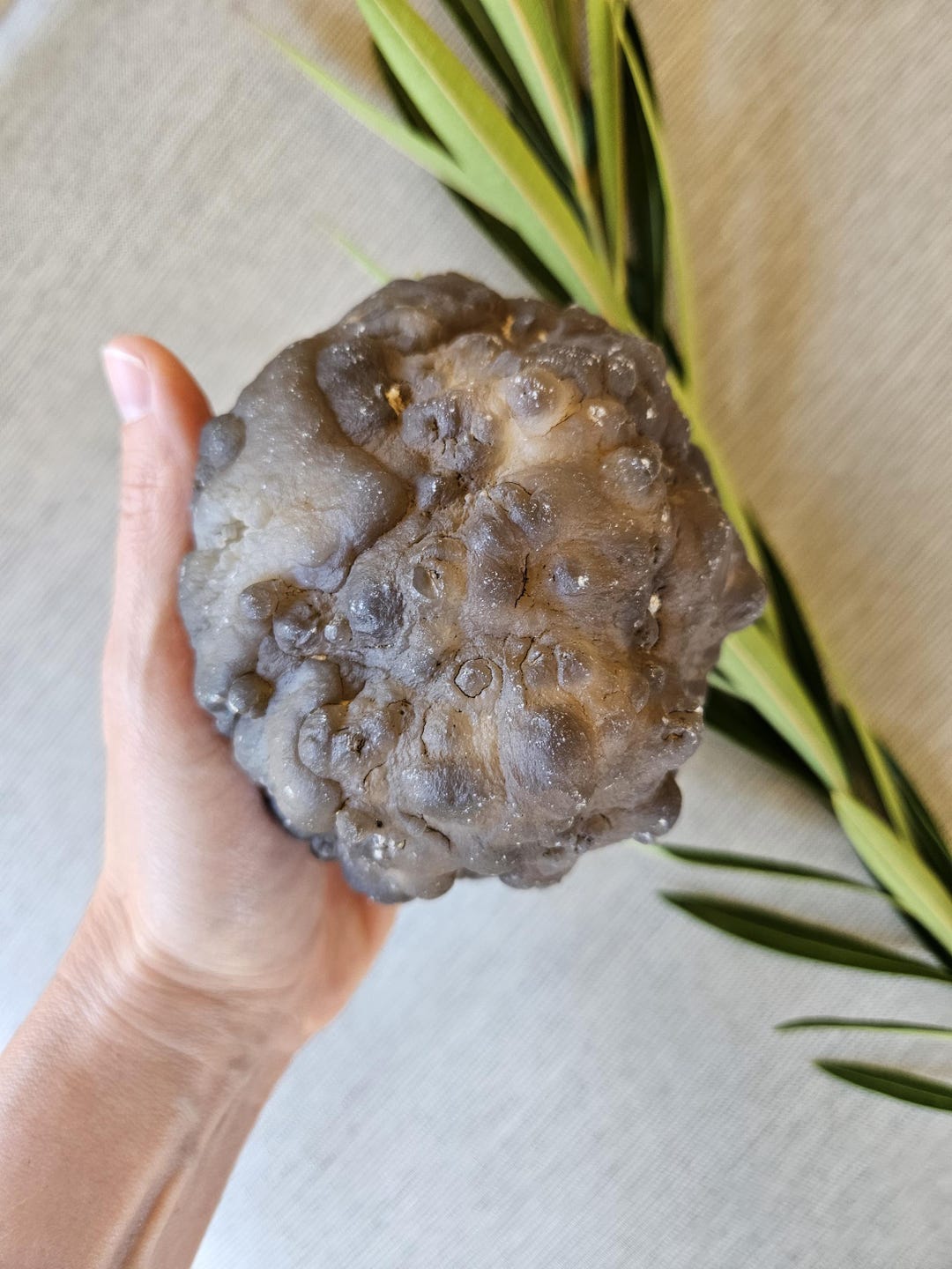 Unique! Large Chalcedony Nodule / Moroccan Chalcedony Cluster / Raw ...