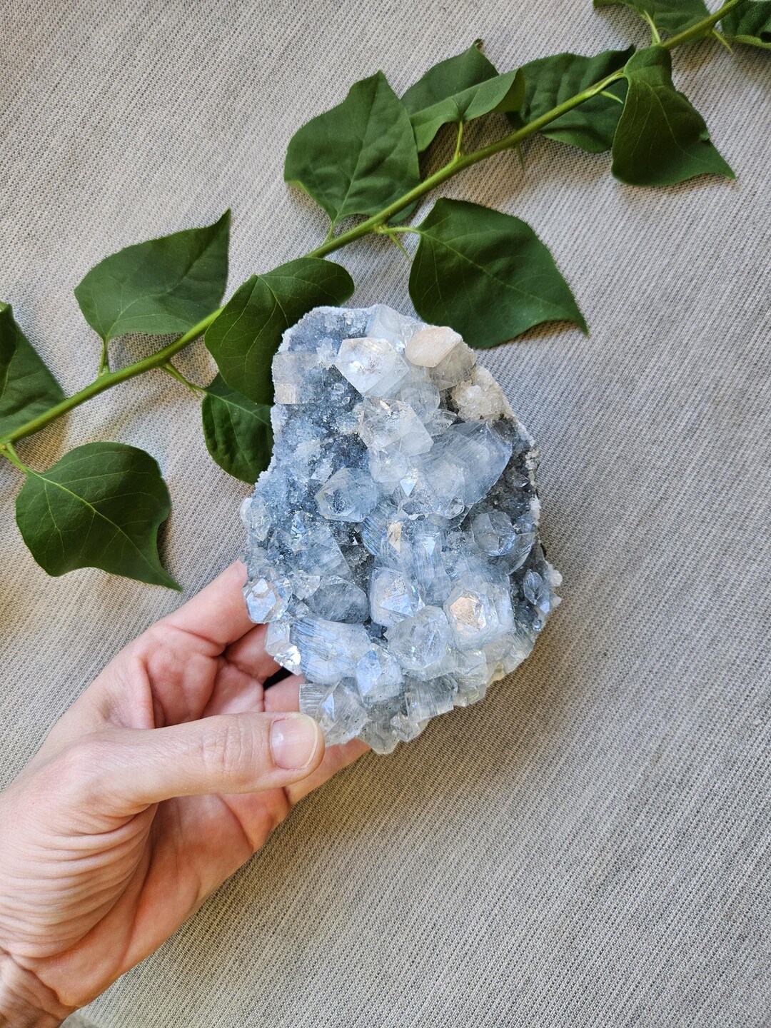 Quality Apophyllite Crystal / Raw Apophyllite on Blue Chalcedony ...