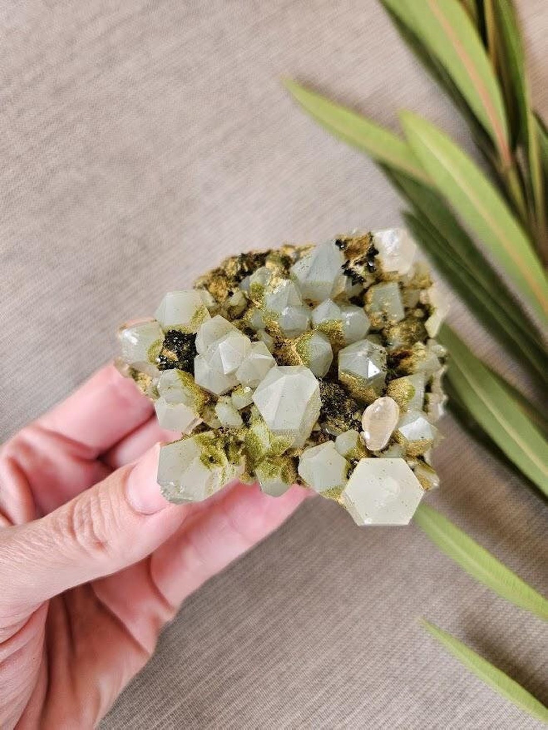 Green Quartz Crystal / Raw Epidote and Clear Quartz Cluster / Natural ...