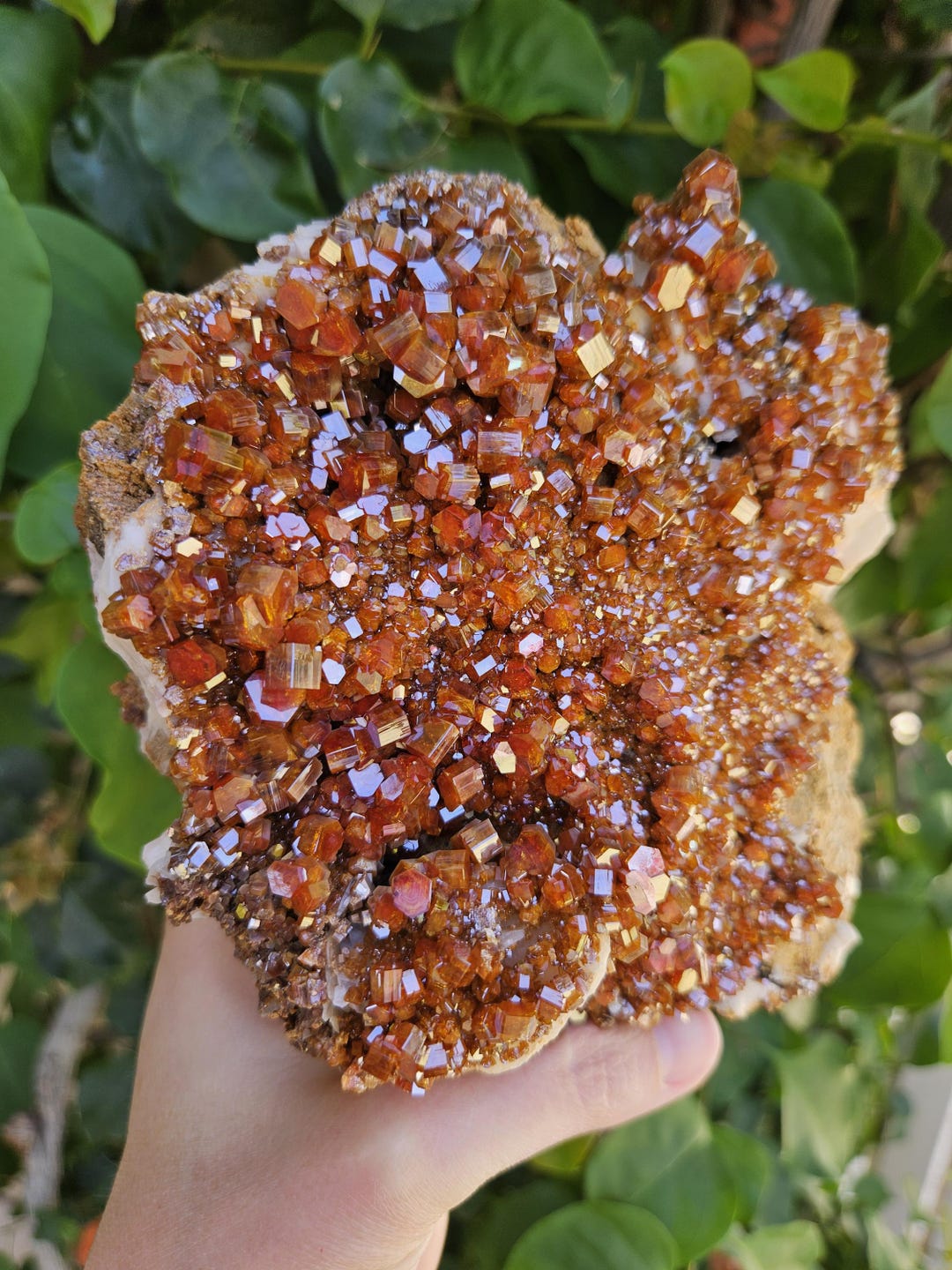 Wow! Quality Vanadinite Specimen / Natural Vanadinite Cluster / Raw Vanadinite Crystal / Large ...