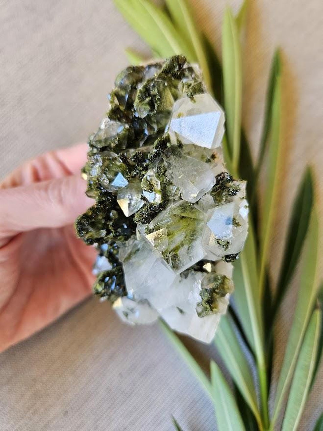 Rare Find Stunning Forest Quartz Crystal / Raw Epidote and Clear Quartz ...