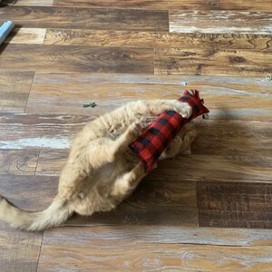 KITTY KICKERS 14 Long X 3 Wide. Made With Fresh CATNIP by ...