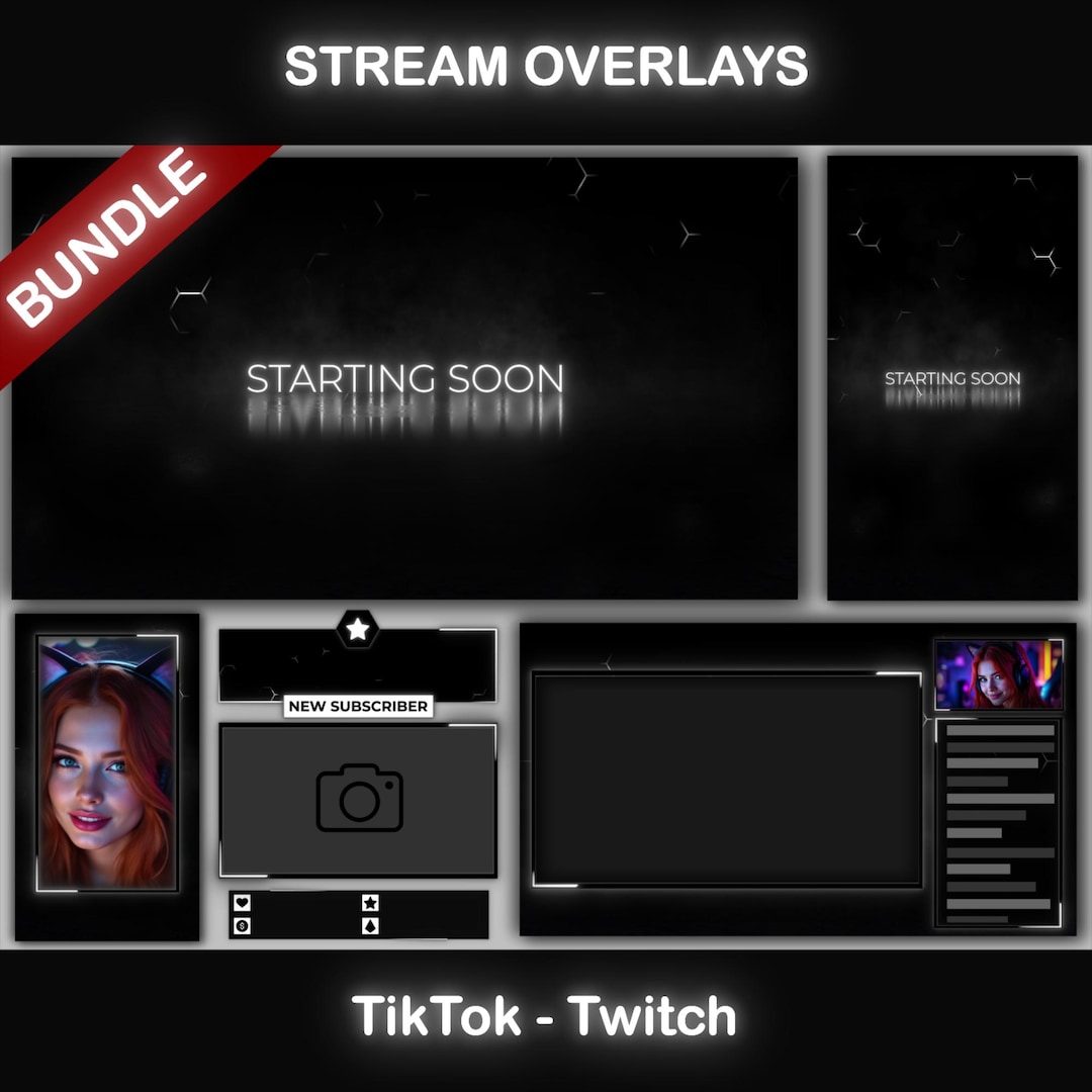 Animated Stream Overlays - Twitch and Tiktok Live Overlay Package ...