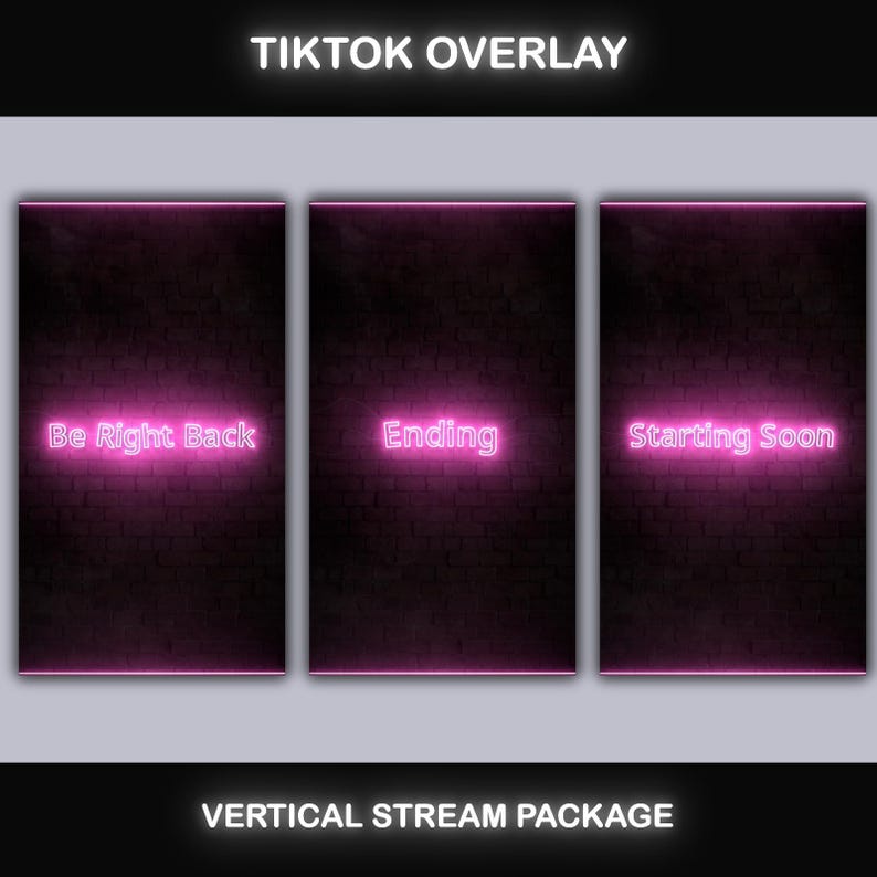 Tiktok Overlay Animated Neon Pink Package, Vertical Streaming Overlay ...