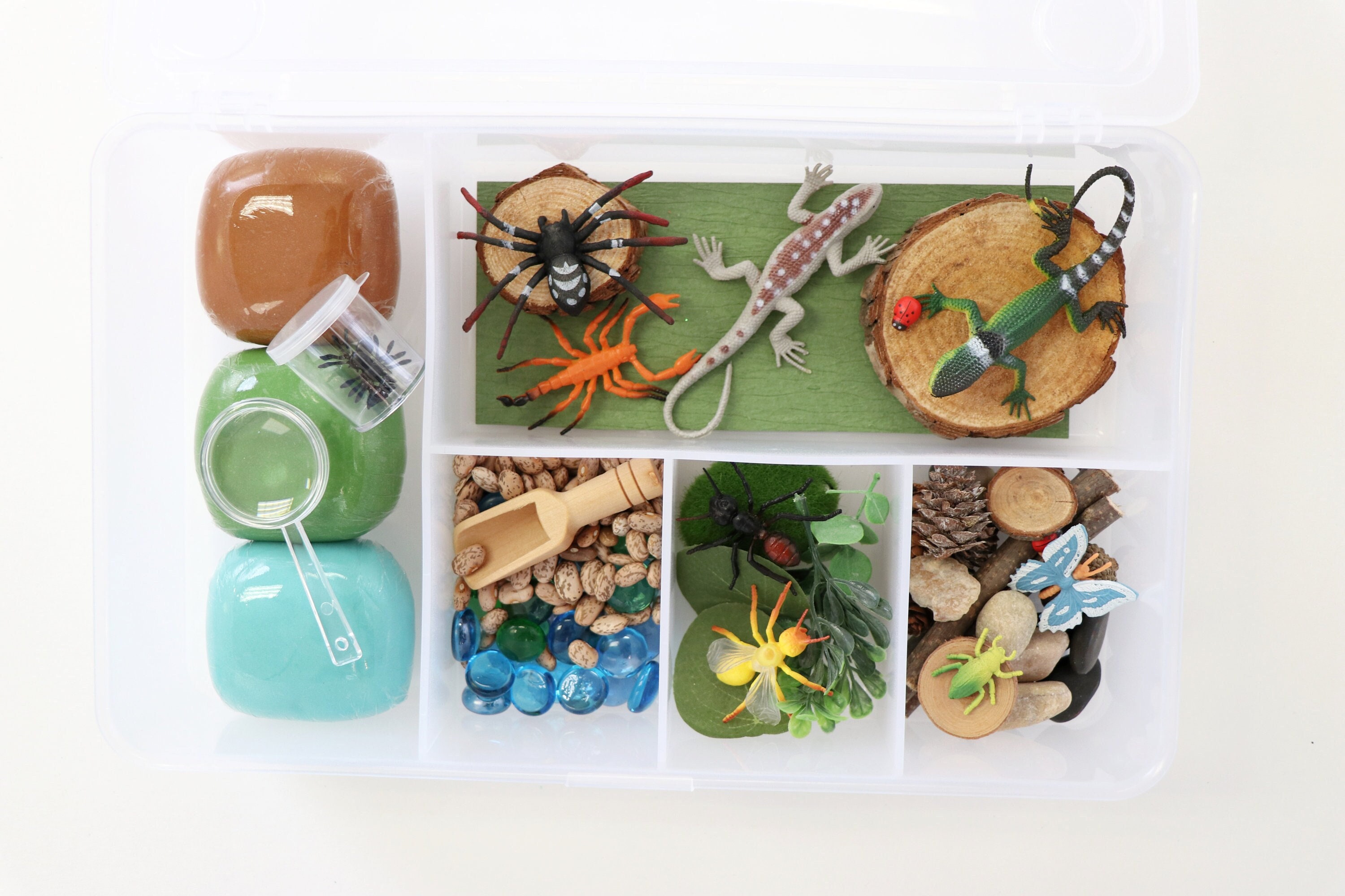 bugs sensory box kids busy box bugs dough kit Reptiles and bugs ...
