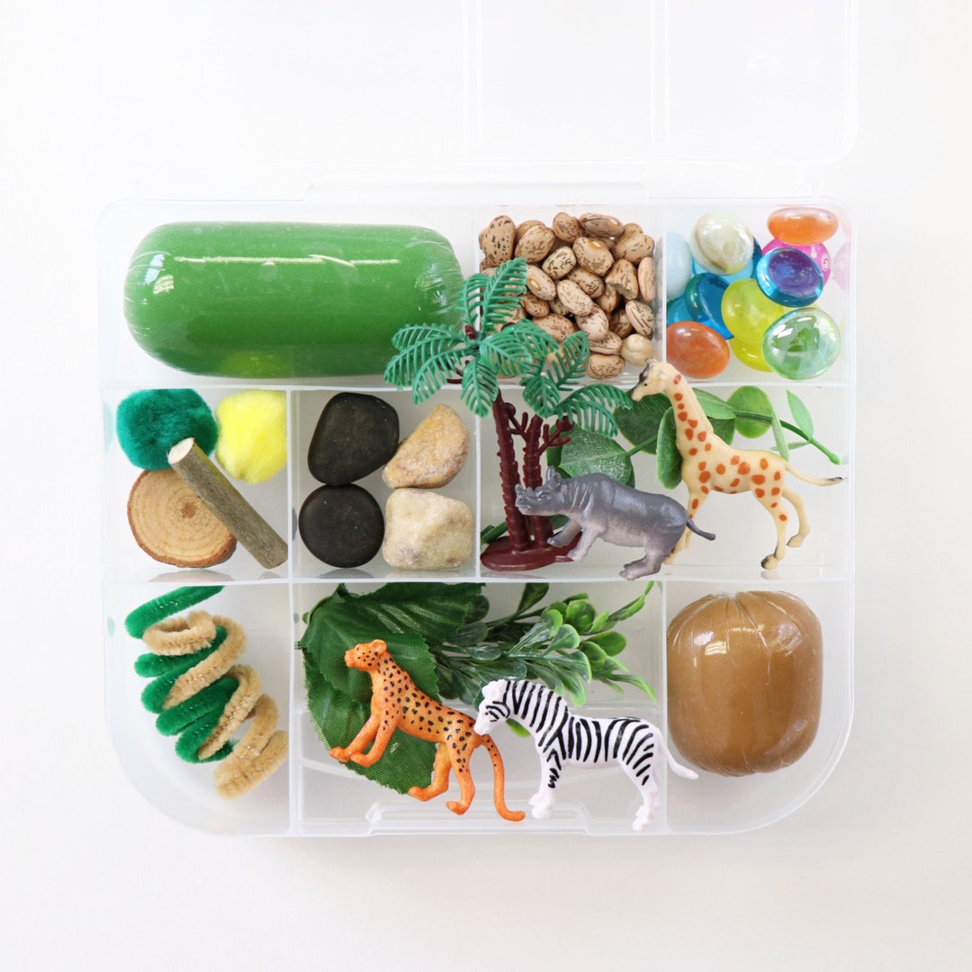 Zoo Animals Play Dough Kit, Sensory Dough Kit, Birthday Gift, Sensory ...