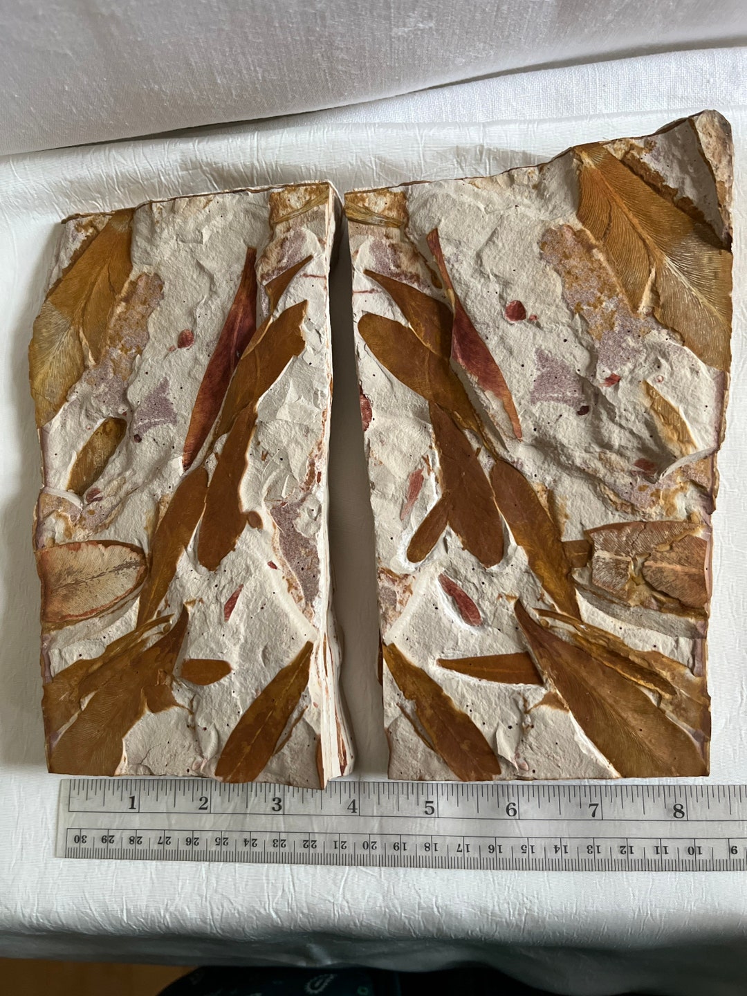 Fossil Leaf Split Plates - Etsy