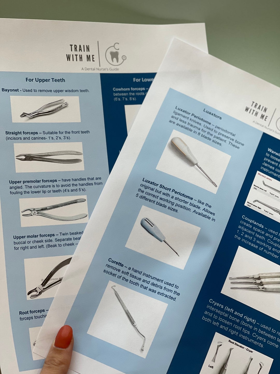 A Guide to Understand Dental Extraction Instruments - Etsy