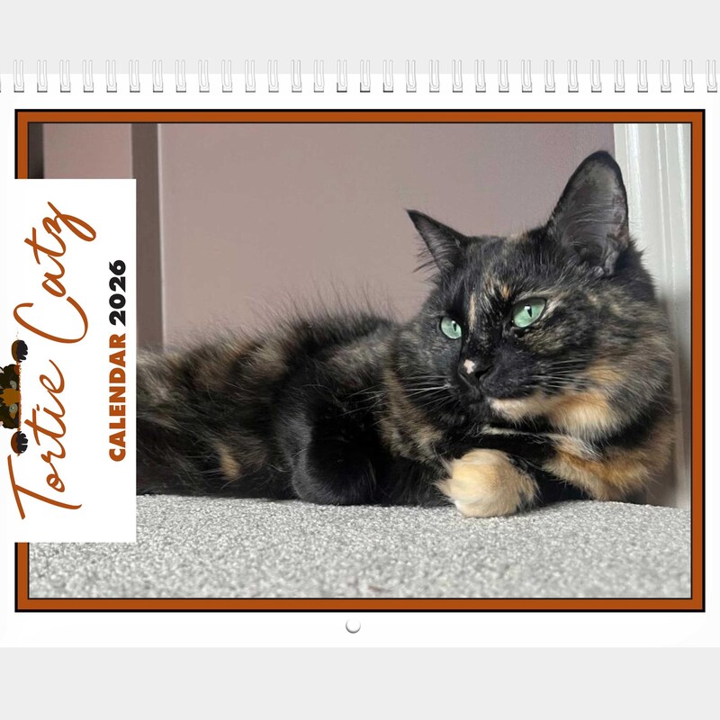 Cat Calendar - Etsy