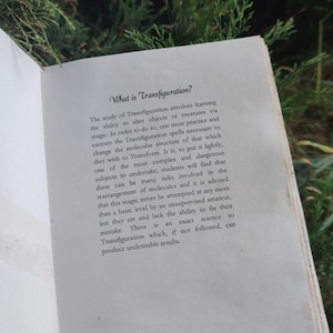 A Beginner's Guide to Transfiguration Book Softbook - Etsy