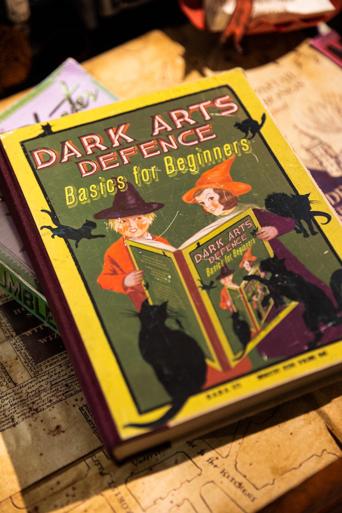 Defense Against The Dark Arts Book Cover