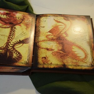 Book How to Train Your Dragon HTTYD - Etsy UK