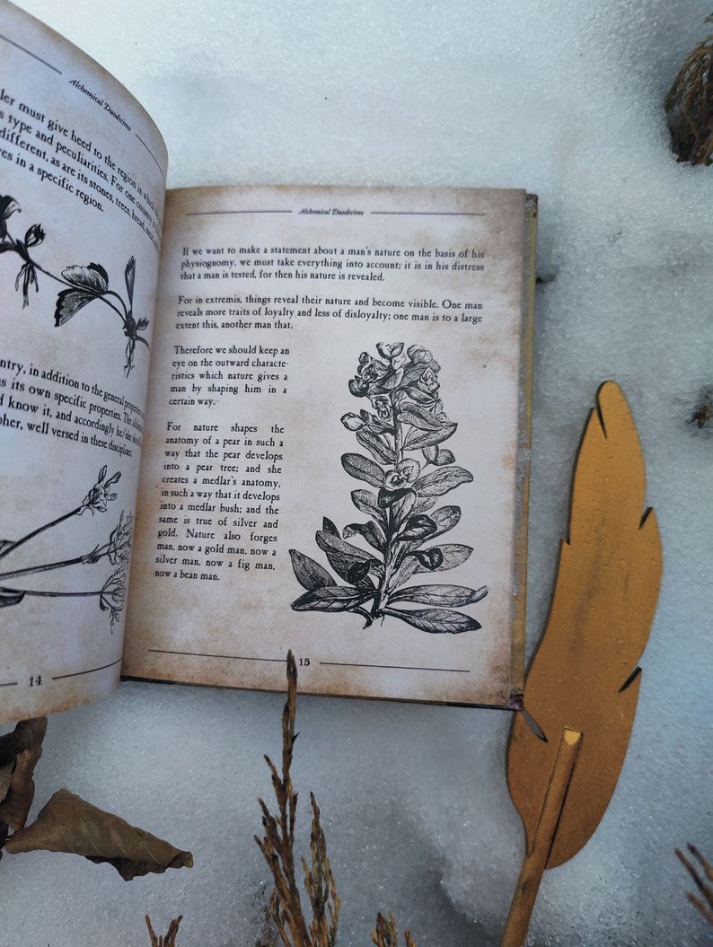 Alchemical Duodecimo - Etsy