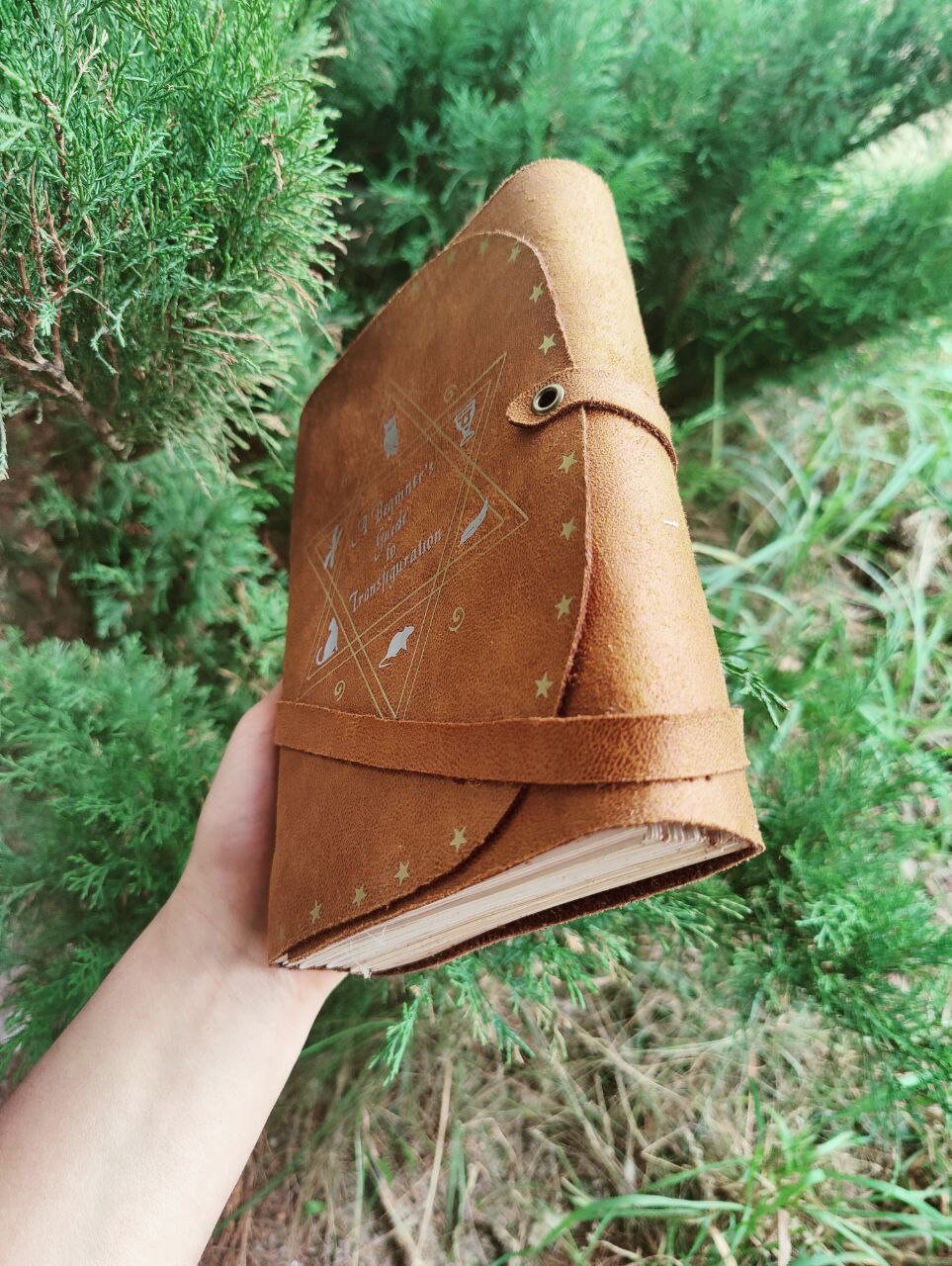 A Beginner's Guide to Transfiguration Book Softbook - Etsy UK