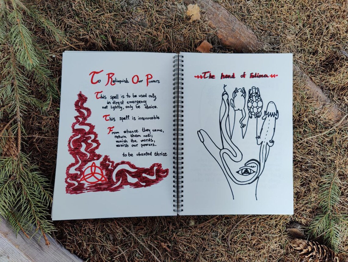 The Book of Shadows Charmed Brain Drain BOS - Etsy