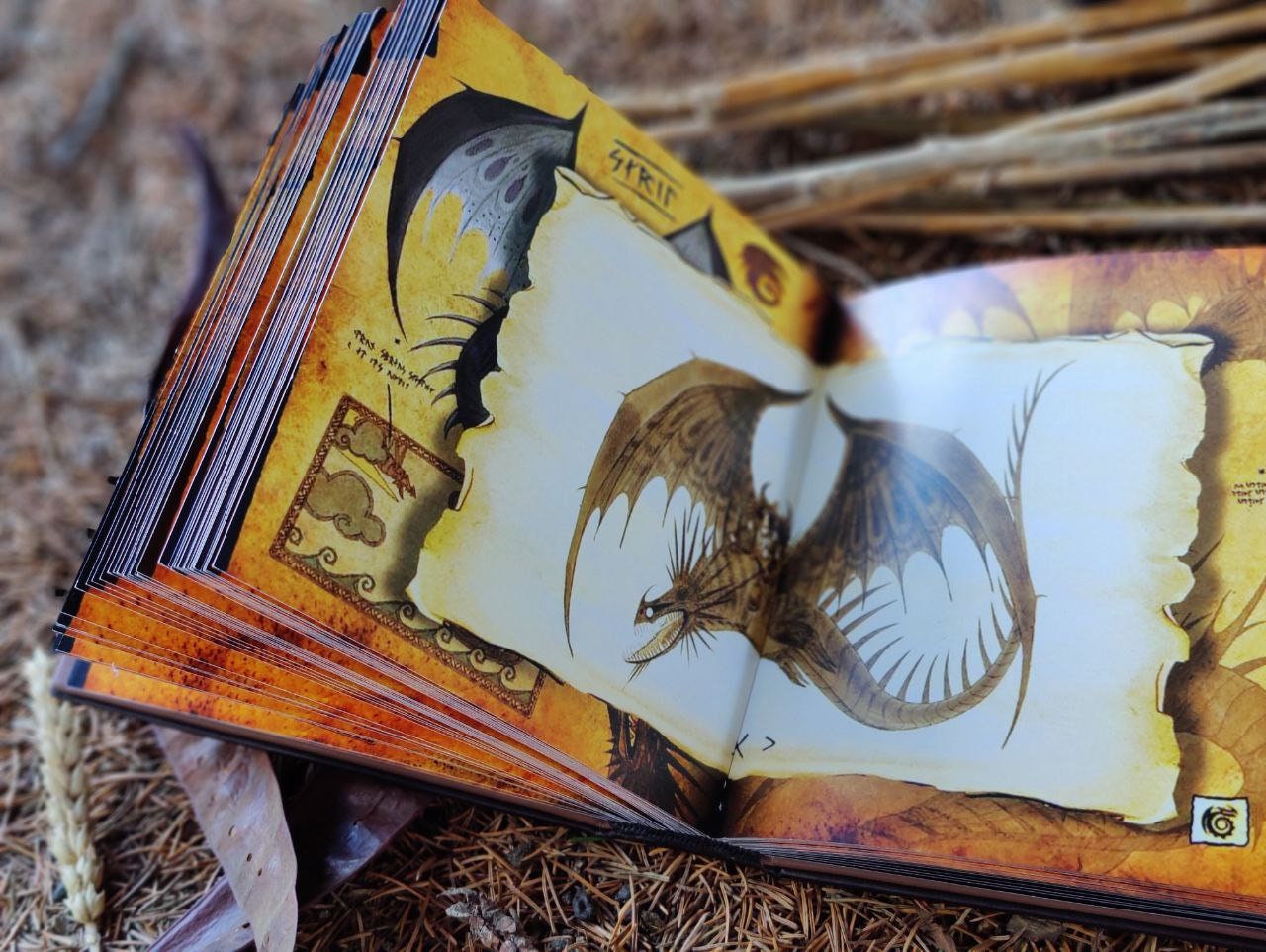 Book How to Train Your Dragon HTTYD - Etsy Australia
