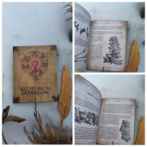 Alchemical Duodecimo - Etsy