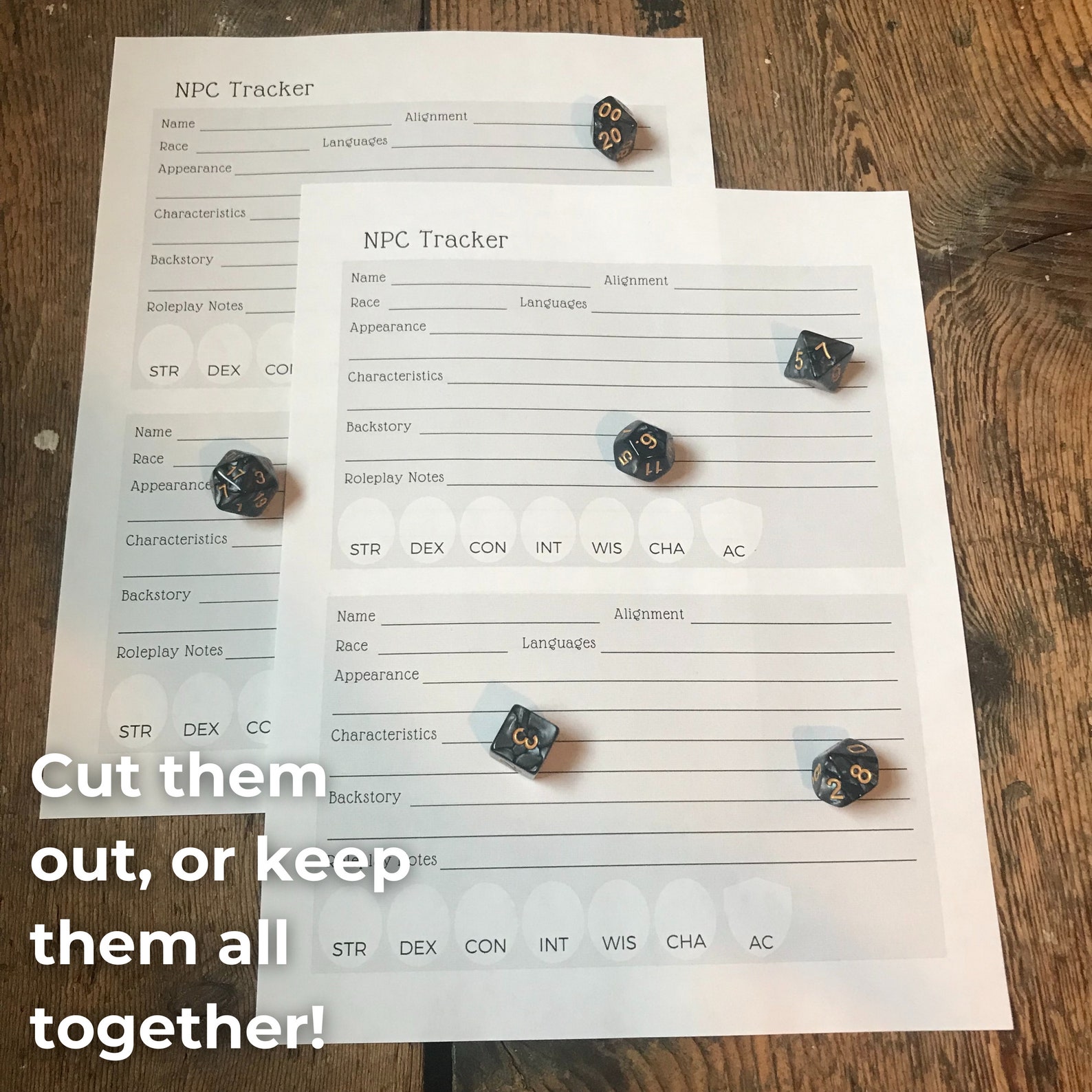 NPC Tracker for DND Campaign / Note Taker : DM Binder Must-have - Pdf ...