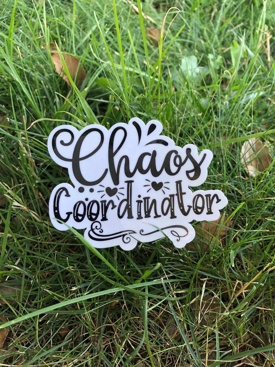 Chaos Coordinator Sticker, Funny Chaos Sticker, Chaos Sticker - Etsy