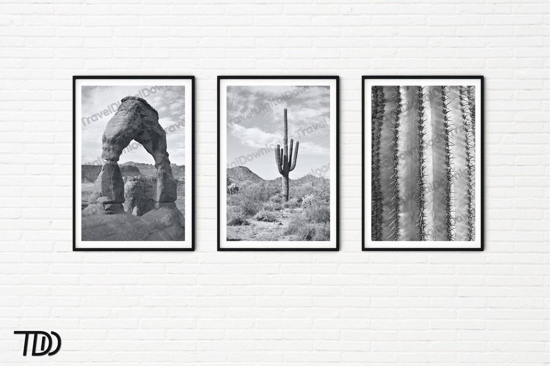 Black & White Set of Three Desert Photo Downloads Printable Landscape ...