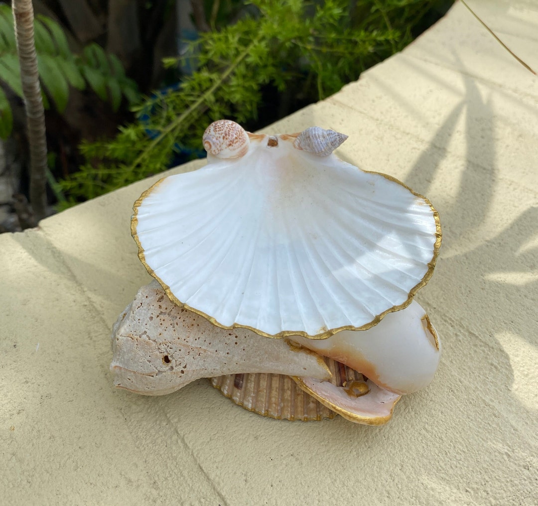 Natural Scallop Shell Soap Dish With Gold Accents - Handmade Home Decor ...