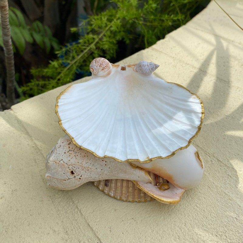 Shell Soap Dish - Etsy