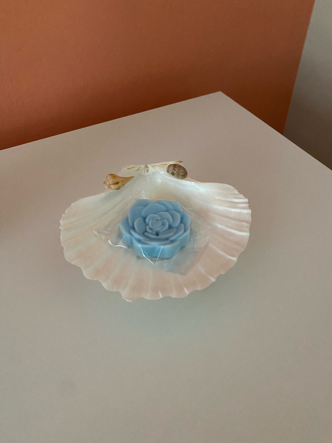 Natural Scallop Shell Soap Dish With Gold Accents - Handmade Home Decor ...