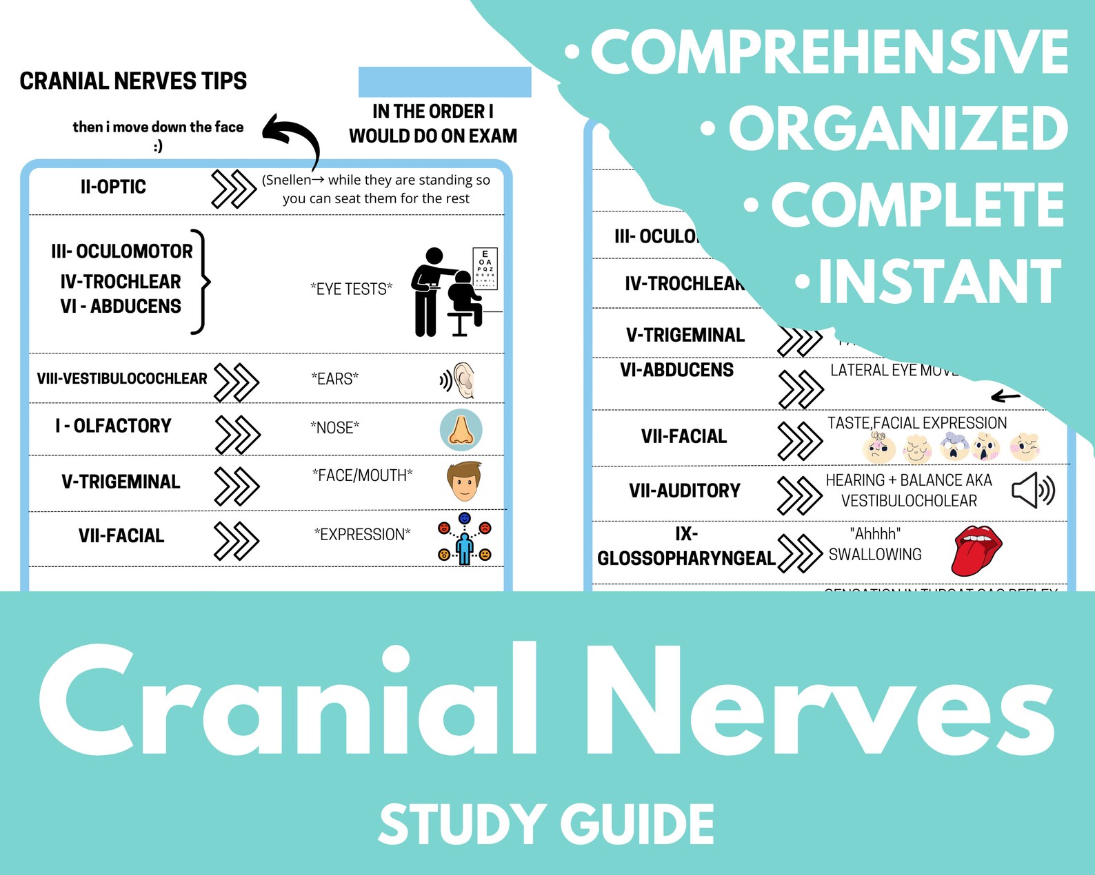 Cranial Nerves Cheat Sheet Lesson Instant PDF Printable - Etsy Canada