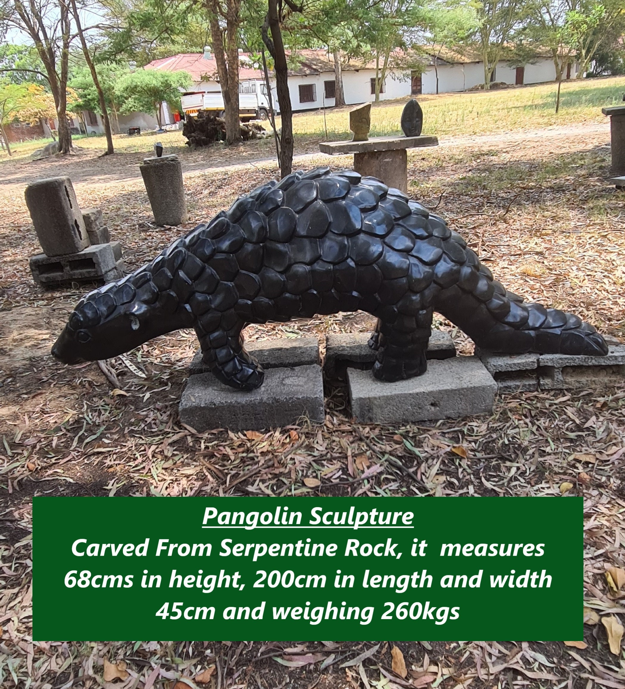 Pangoni Sculpture Serpentine Rock - Etsy