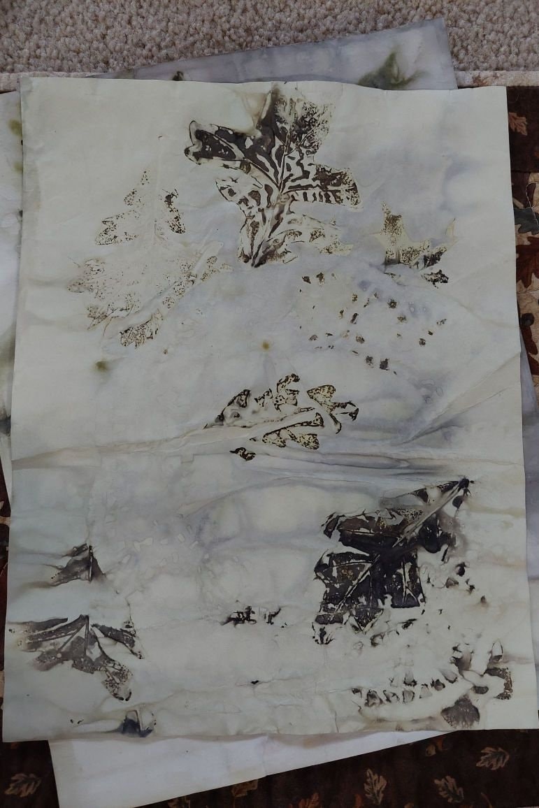 Handmade Eco Dyed Paper Pack (B) - Etsy