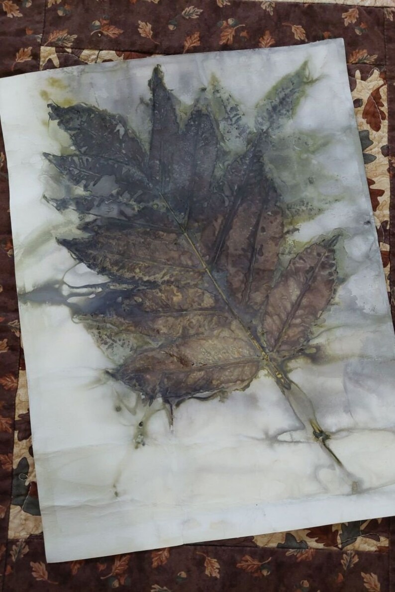 Handmade Eco Dyed Paper Pack (B) - Etsy