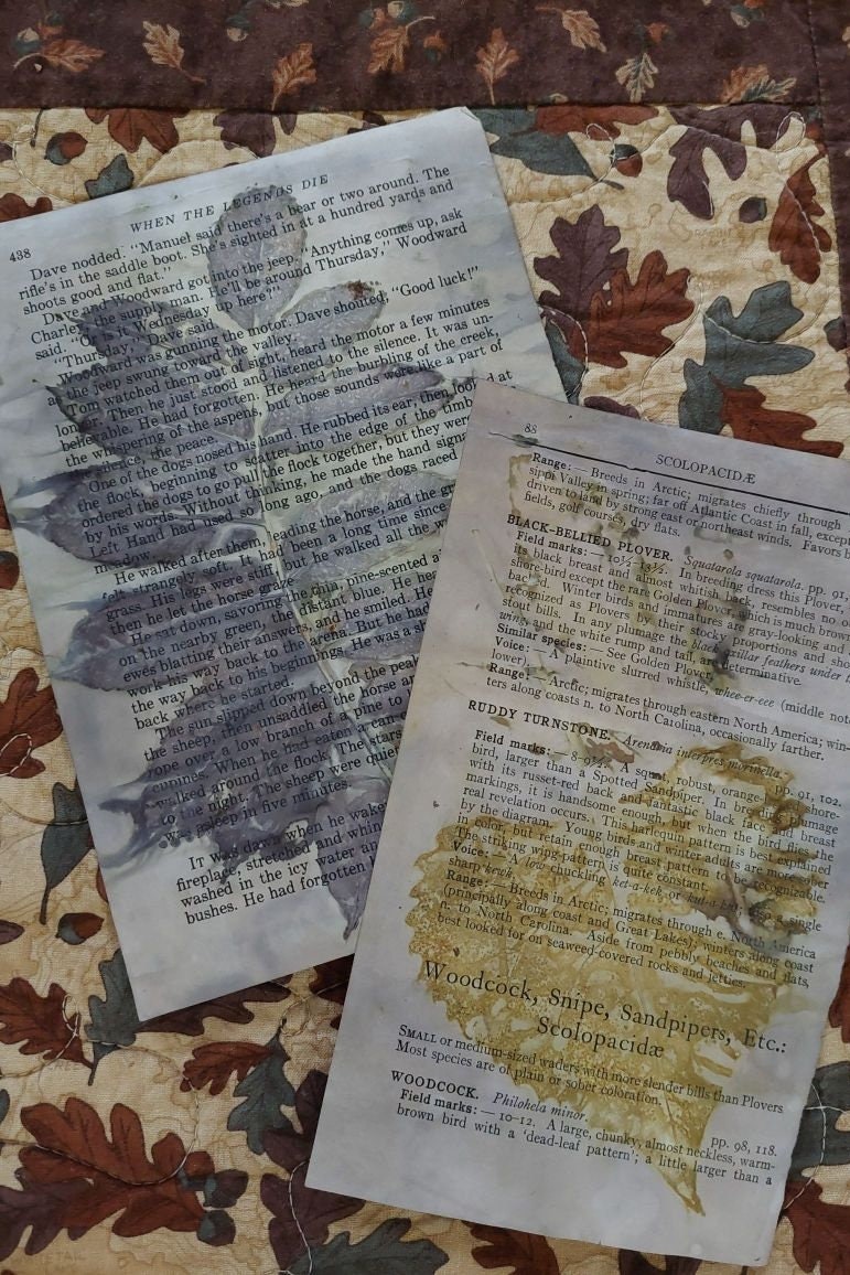 Handmade Eco Dyed Paper Pack B - Etsy