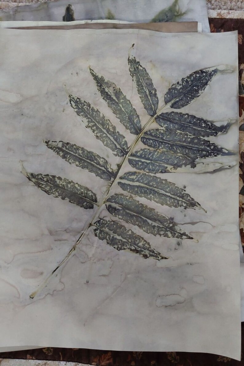 Handmade Eco Dyed Paper Pack (B) - Etsy