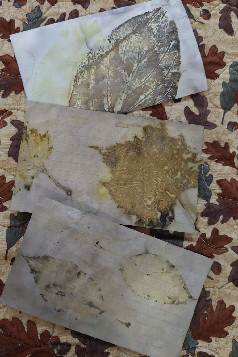 Handmade Eco Dyed Paper Pack (B) - Etsy