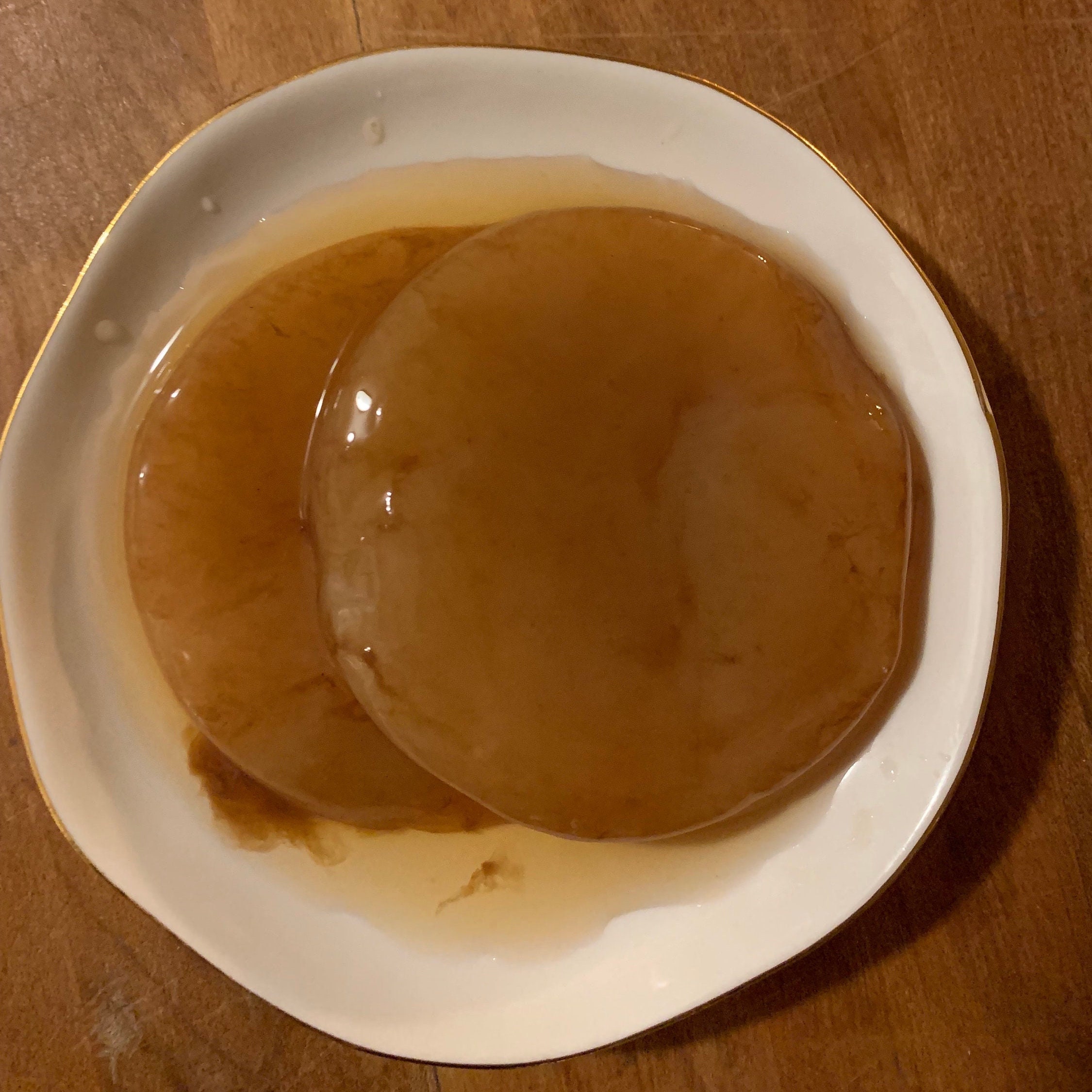 Giant Kombucha Scoby