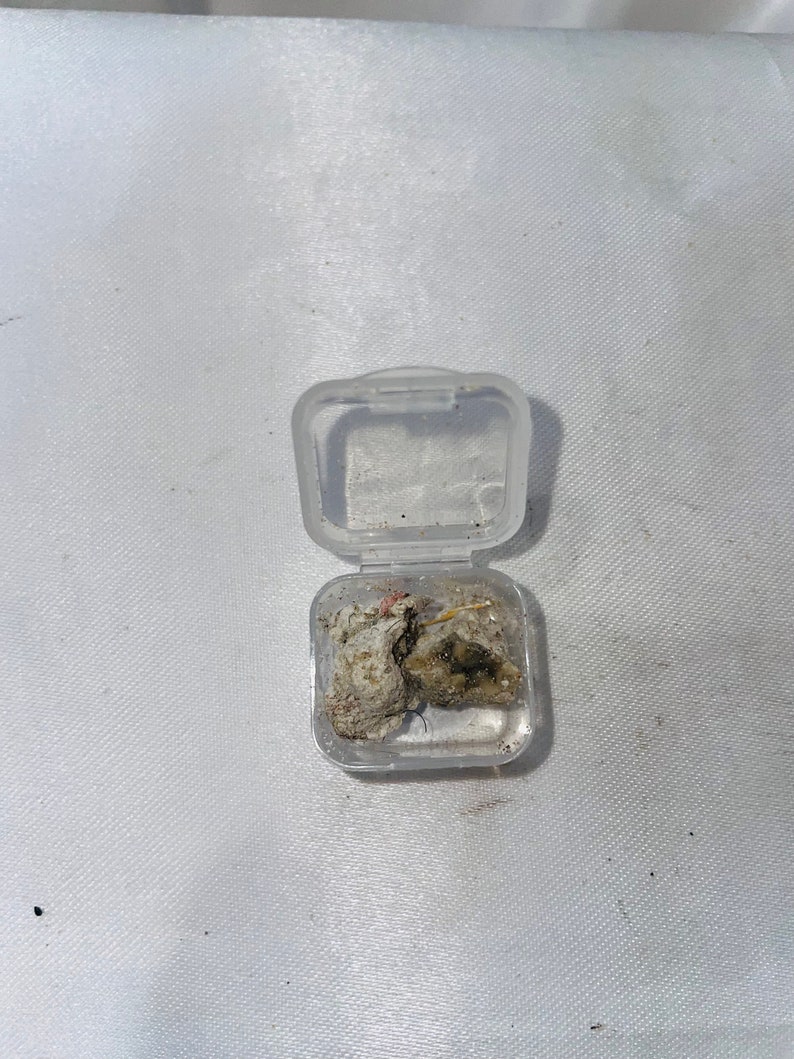 Ambergris for Perfume Making, Ambergris Rock, Whale Rock for Cosmetic ...