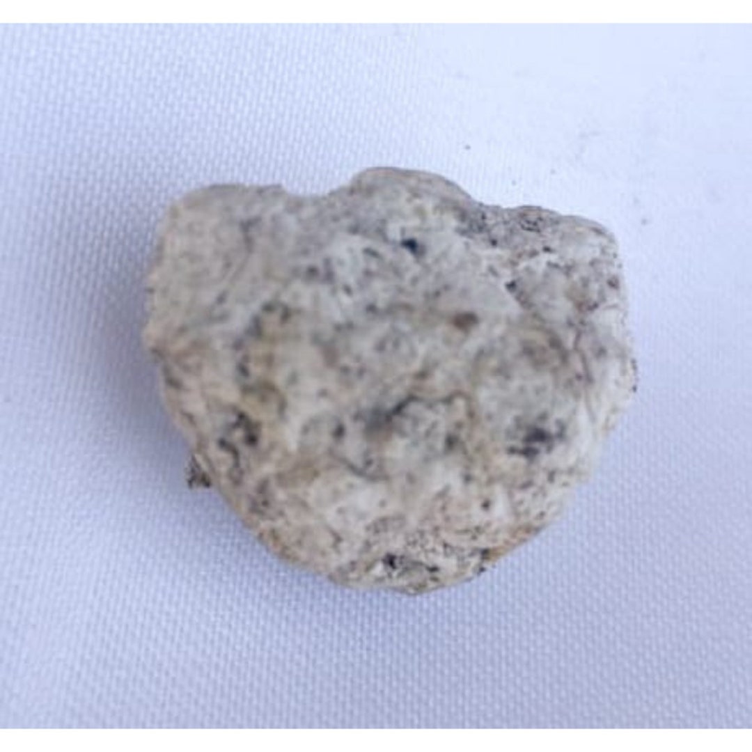 Ambergris Sperm Whale Organic Material Perfume Making - Etsy