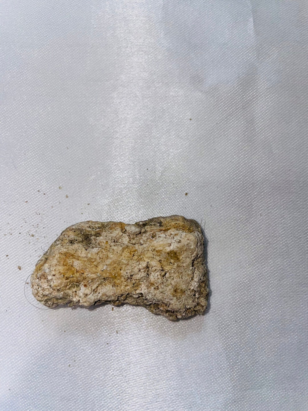 Ambergris for Perfume Making, Ambergris Rock, Whale Rock for Cosmetic ...