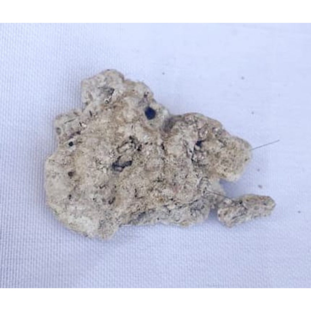 Ambergris Sperm Whale Organic Material Perfume Making - Etsy