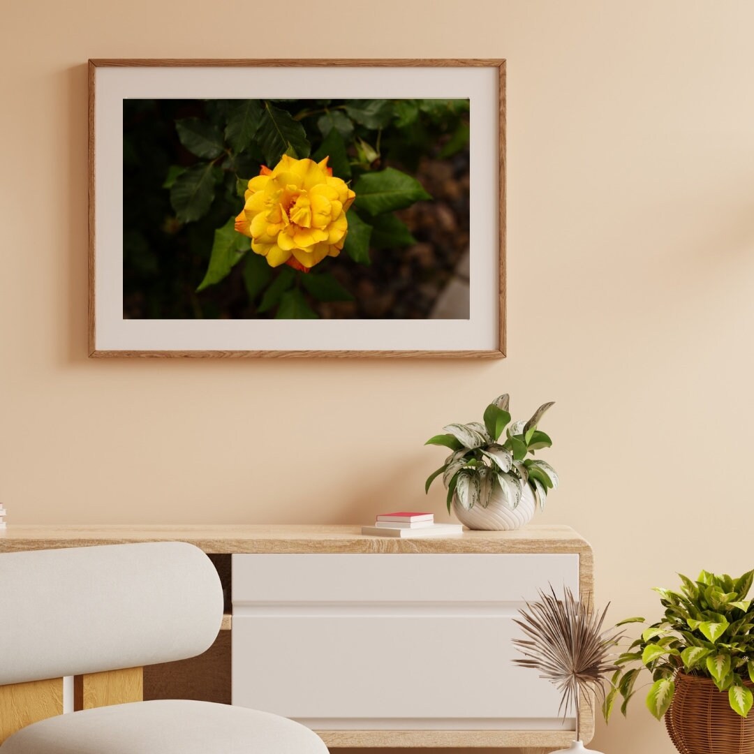Glow up With Golden Hour Rose - Nature-inspired Yellow & Orange Rose ...