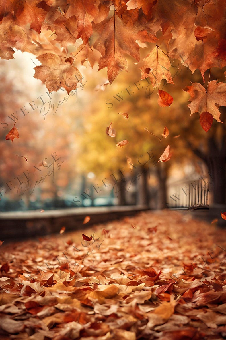 Fall Autumn Pumpkin Digital Backdrop Bundle, Autumn Backdrop, JPG ...