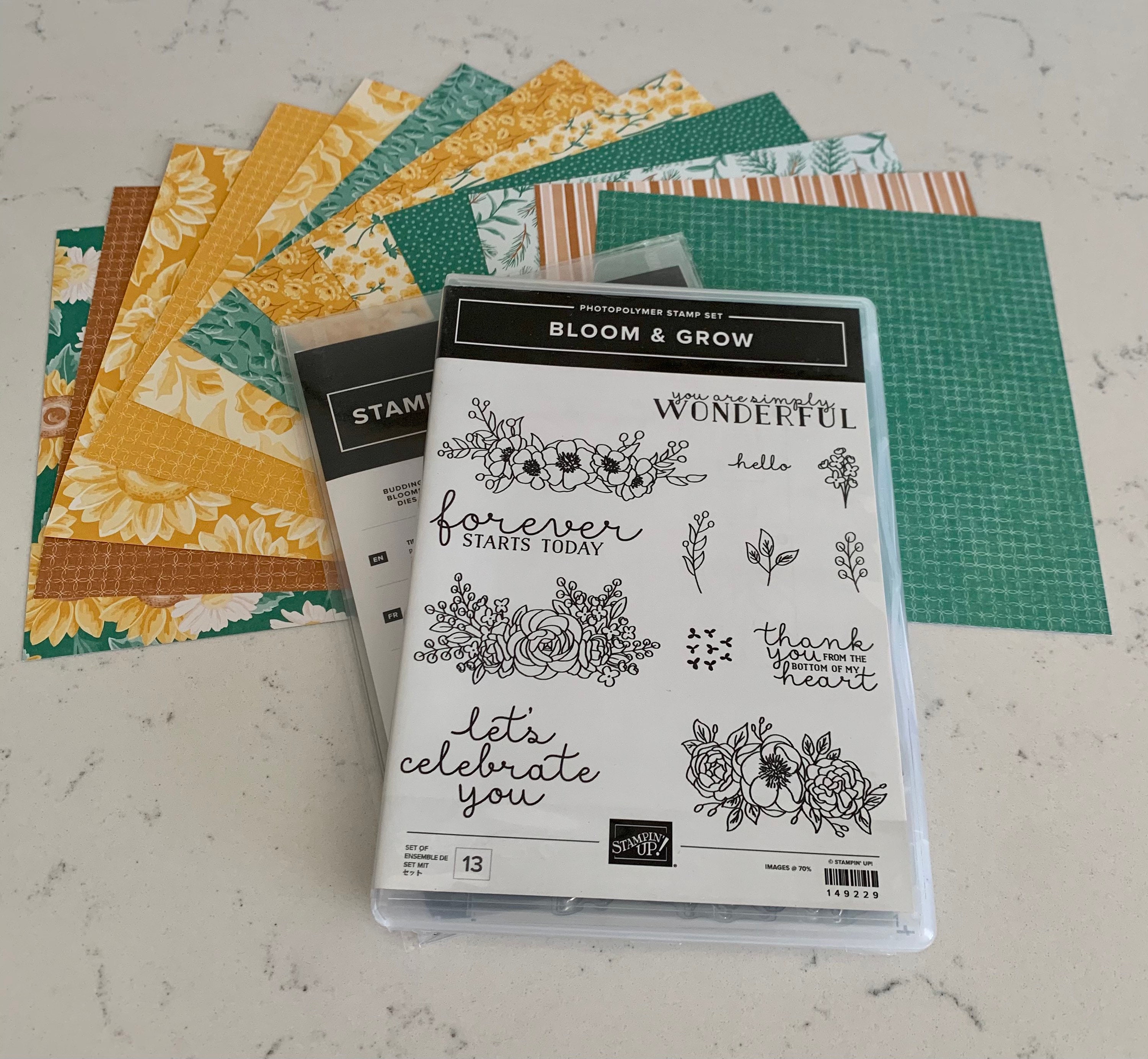 Bloom & Grow Photopolymer Stamp Set, Budding Blooms Dies, AND Flowers ...