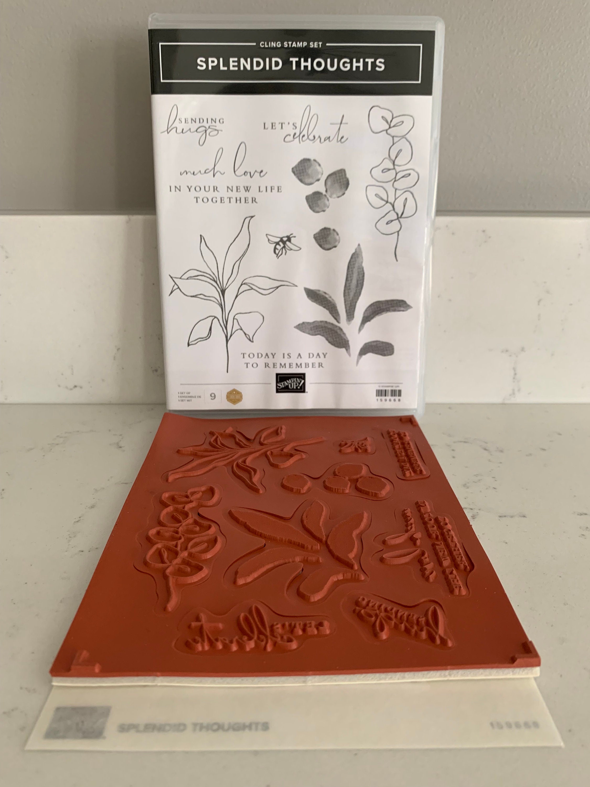 Splendid Thoughts Cling Stamp Set, Splendid Stems Dies, Splendid Day ...