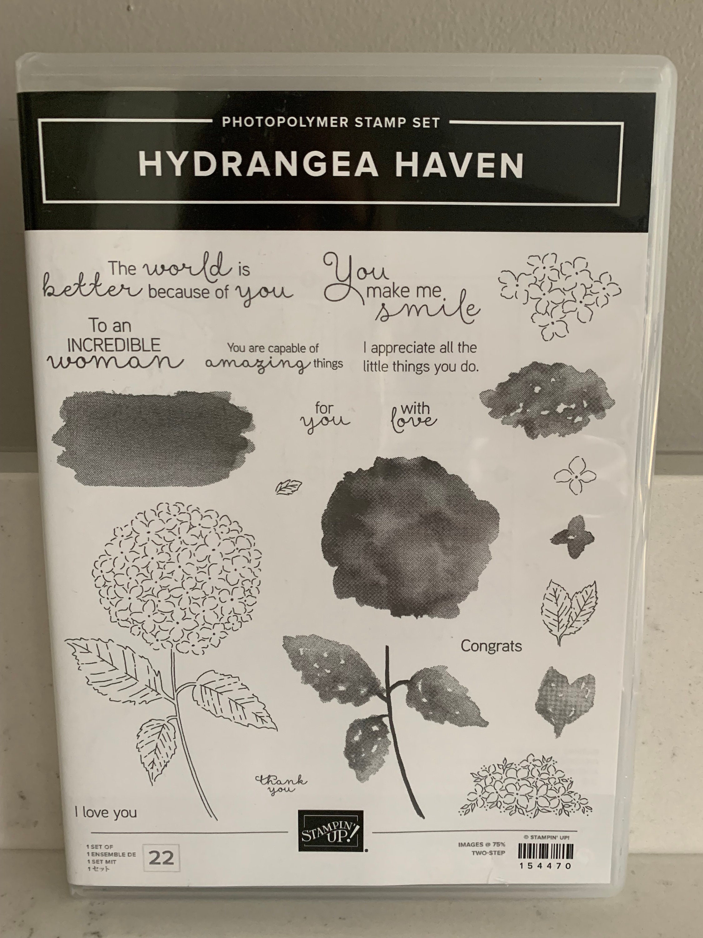 Hydrangea Haven Photopolymer Stamp Set AND Hydrangea Dies Stampin up ...