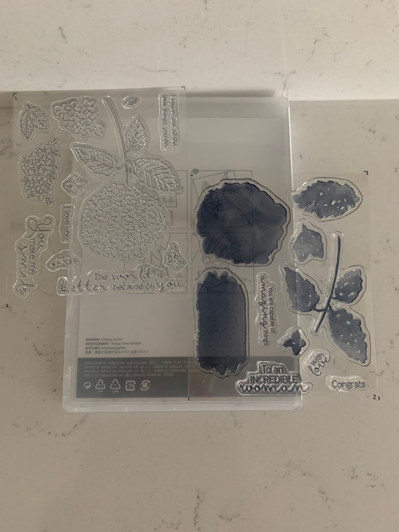 Hydrangea Haven Photopolymer Stamp Set AND Hydrangea Dies - Stampin’ up ...