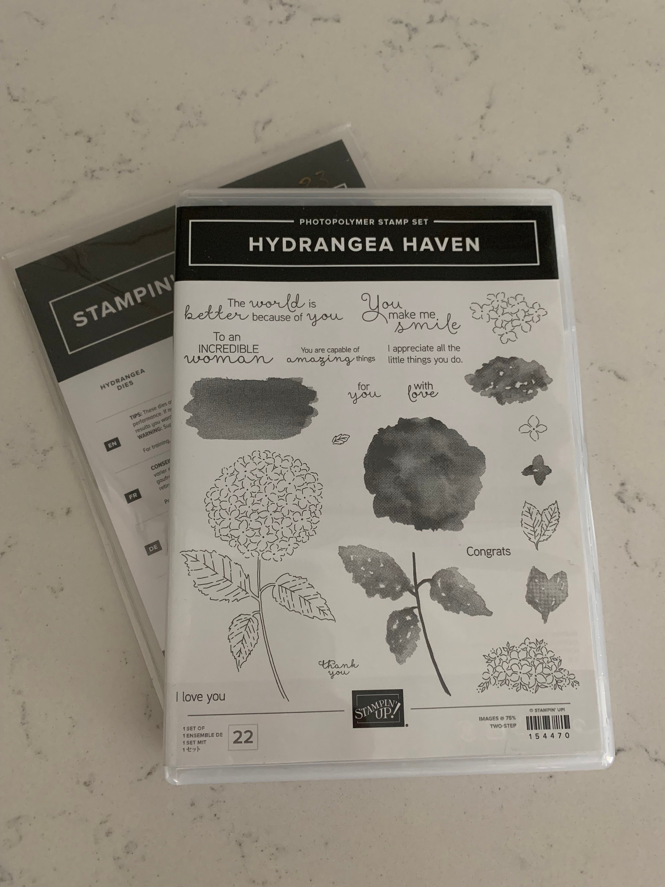 Hydrangea Haven Photopolymer Stamp Set AND Hydrangea Dies - Stampin’ up ...